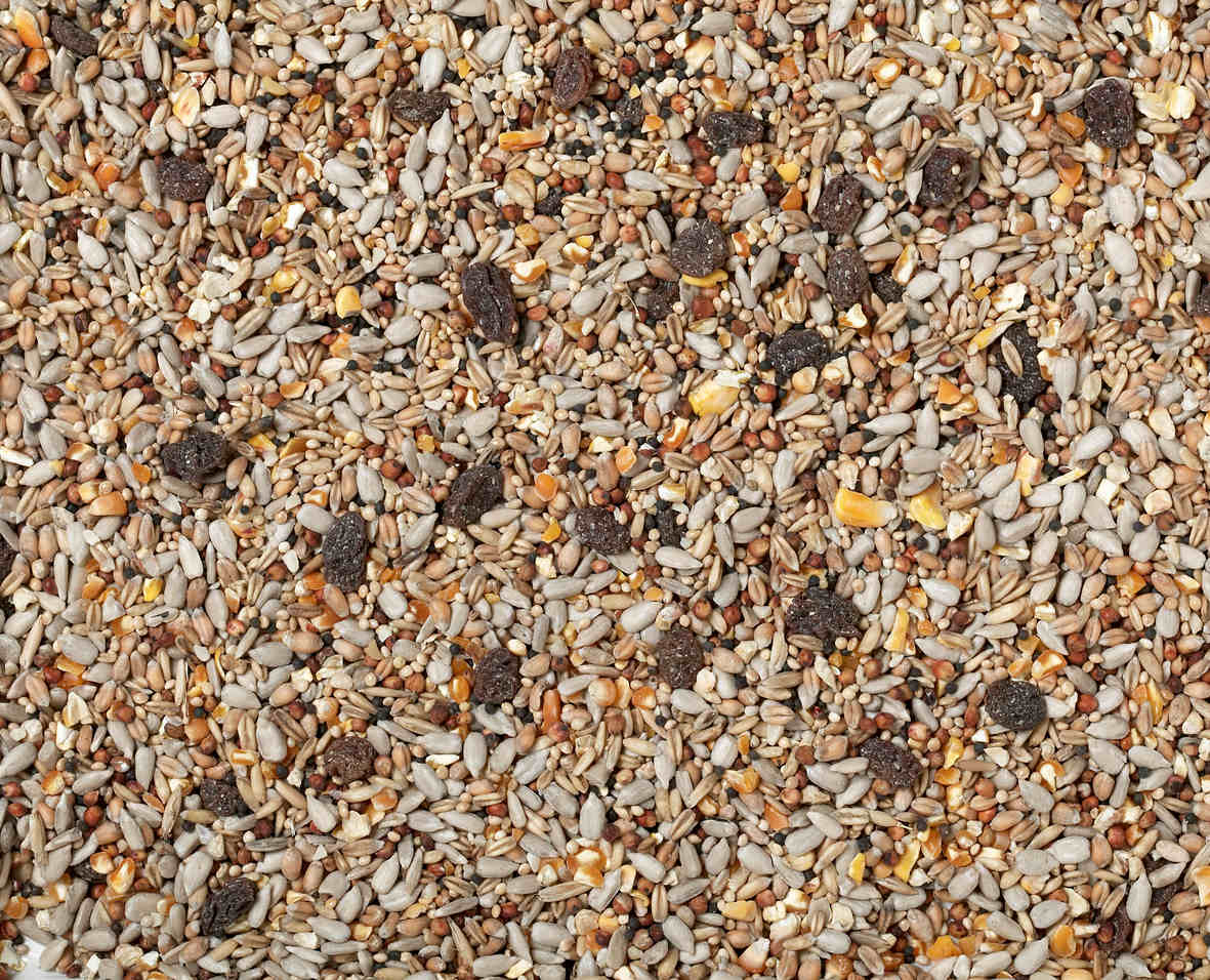 SUPERIOR Wild Bird Food Husk Free - Howsam's Mill